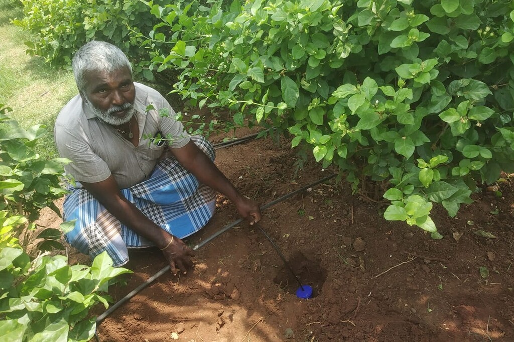 New technique for sub surface irrigation - General - The Grove