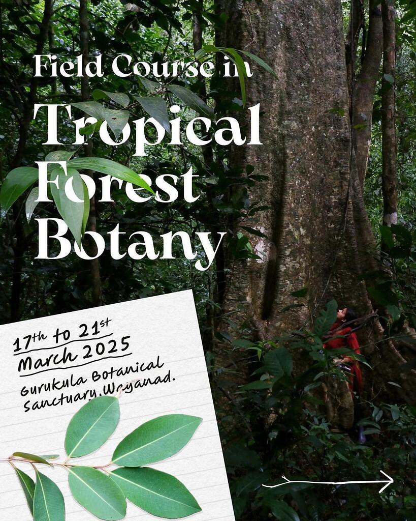 Tropical Forest Botany Workshop - Events - The Grove