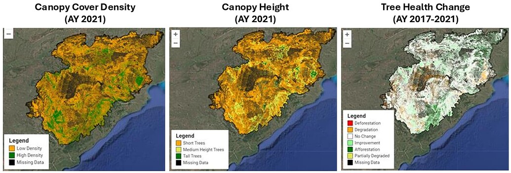 Scalable Monitoring of Tree Canopy Density and Height in India at High ...