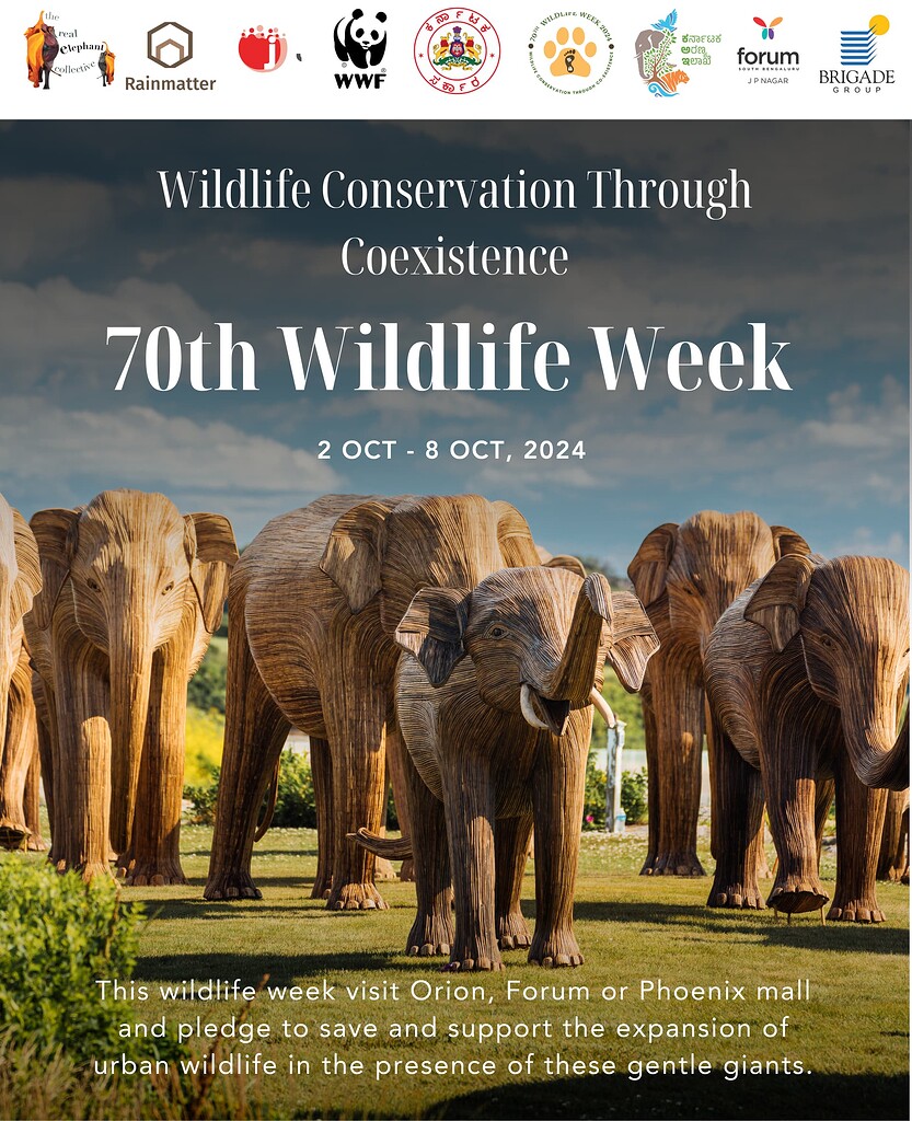 Invitation for 70th Wildlife Week- Celebrating Coexistence - Events ...