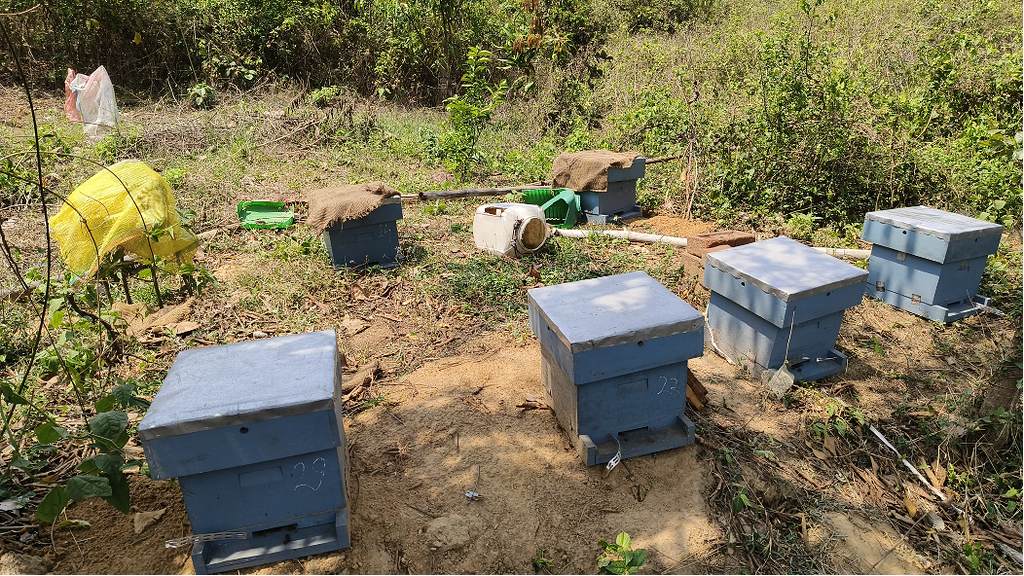 RM - UW: Reviving biodiversity with Bee Stations - training ...